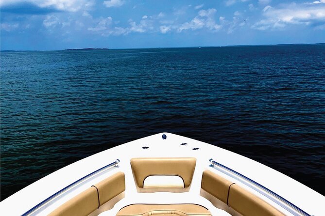 Beaufort Private Dolphin Excursions - FAQ