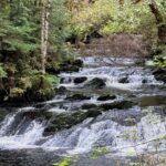 Beautiful Hike on Tongass National Forest's Lunch Creek Trail - The Itinerary: What You’ll Experience