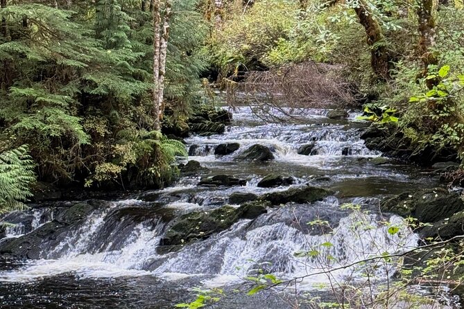 Beautiful Hike on Tongass National Forest's Lunch Creek Trail - The Itinerary: What You’ll Experience