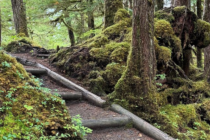 Beautiful Hike on Tongass National Forest's Lunch Creek Trail - Practical Considerations and Recommendations
