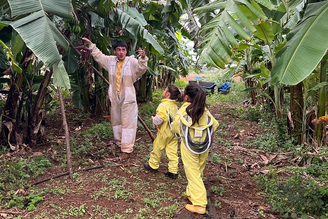 Bee Farm Ecotour and Honey Tasting in Waialua, North Shore Oahu - An Introduction to the Oahu Bee Farm Experience