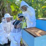 Bee Farm Tour & Honey Tasting - The Realities of the Experience