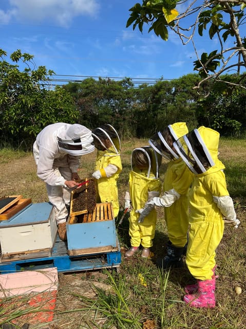 Bee Farm Tour & Honey Tasting - Who Should Consider This Tour?