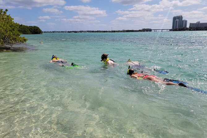 Beginner Friendly Island Snorkeling - Key Points