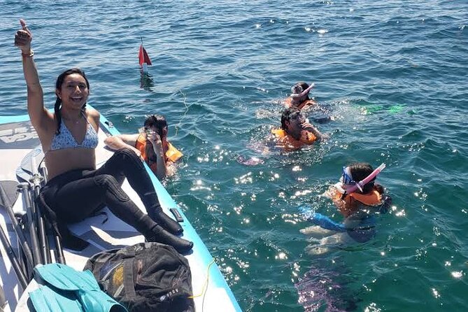 Beginner Friendly Island Snorkeling - Who Should Consider This Tour?