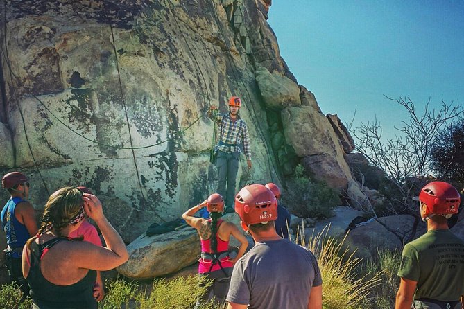 Beginner Group Rock Climbing in Joshua Tree National Park - The Climbing Experience: What Youll Actually Do
