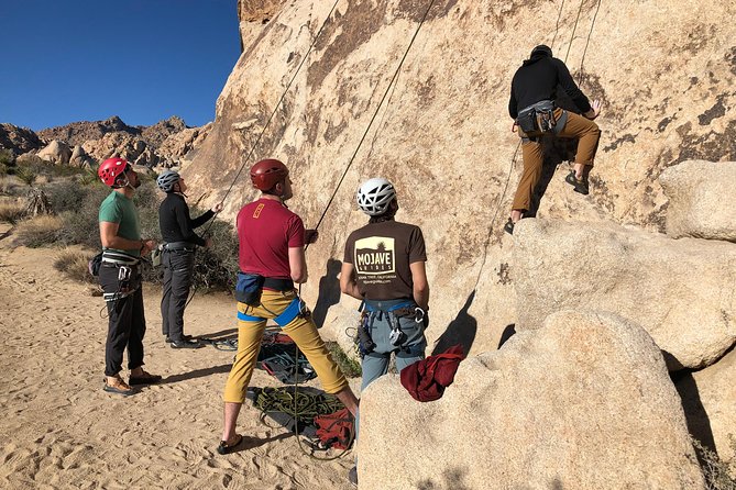 Beginner Group Rock Climbing in Joshua Tree National Park - The Sum Up