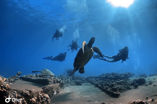 Beginner Scuba Dive in Lahaina: Swimming Required - Why This Tour Provides Great Value