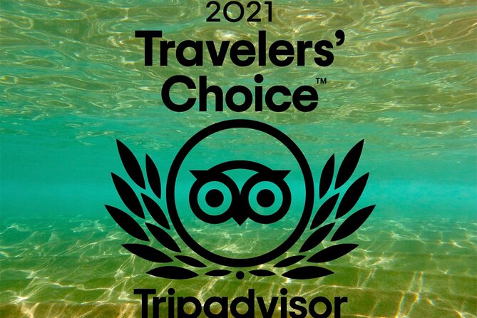 Beginner Scuba Dive in Lahaina: Swimming Required - Who Will Love This Experience?