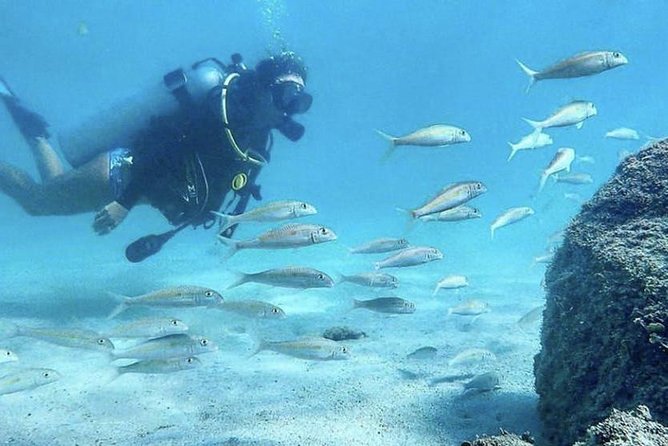 Beginner Scuba Diving Adventure with Videos in Honolulu - What Makes This Tour a Great Choice?