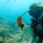 Beginner Scuba Diving Experience With Videos in West Palm Beach - Who Should Book This Tour?