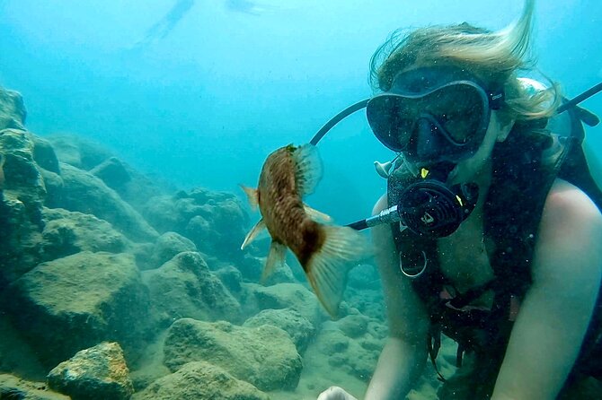 Beginner Scuba Diving Experience With Videos in West Palm Beach - Who Should Book This Tour?