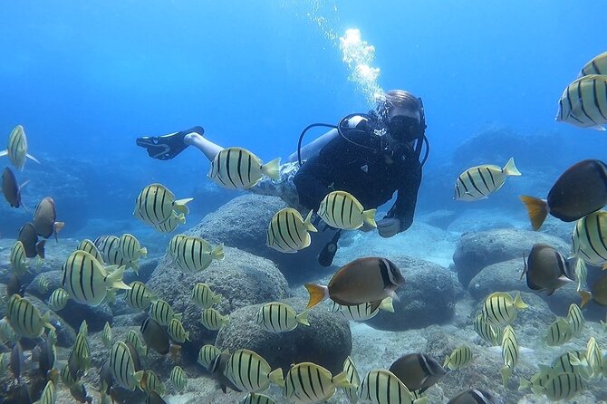 Beginner Scuba Experience with Video Package in Honolulu - What to Keep in Mind