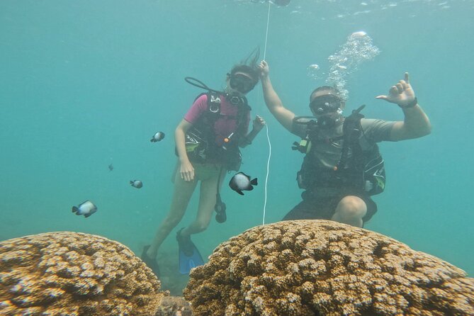 Beginner Scuba Experience with Video Package in Honolulu - The Sum Up