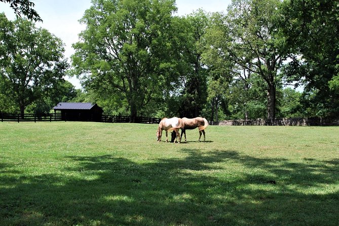 Belle Meade Guided Mansion Tour with Complimentary Wine Tasting - FAQs