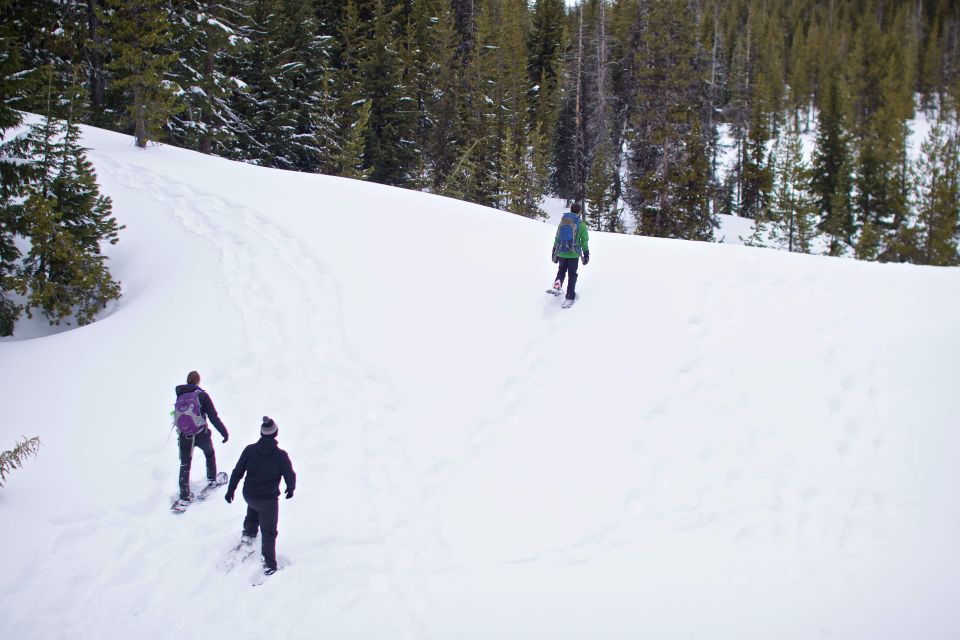 Bend: Half-Day Shoes, Brews, and Views Tour - An Authentic Winter Wonderland in Bend: Shoes, Brews, and Views