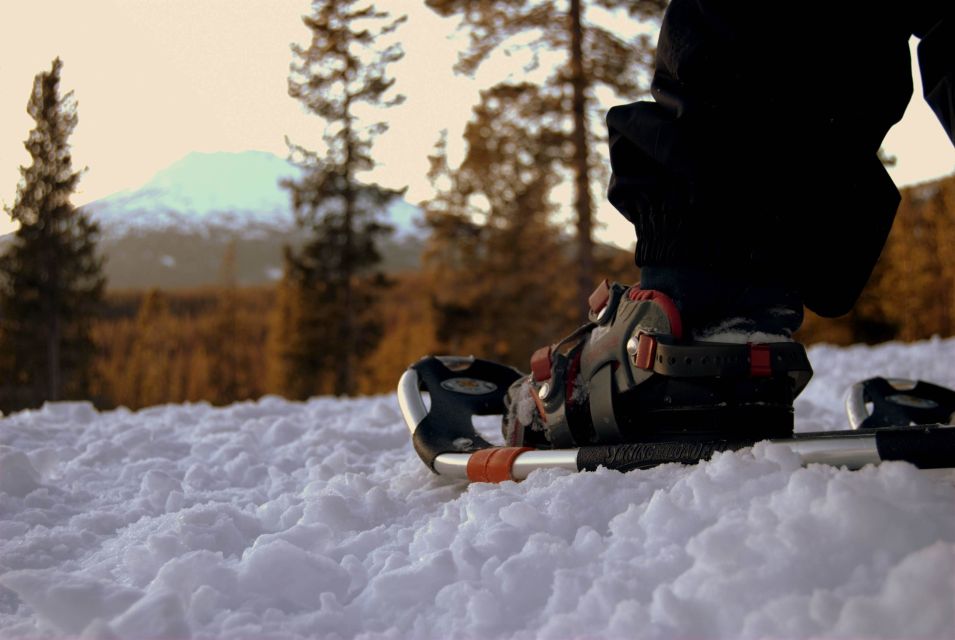Bend: Half-Day Snowshoe Tour in the Cascade Mountain Range - A Detailed Look at the Snowshoe Experience