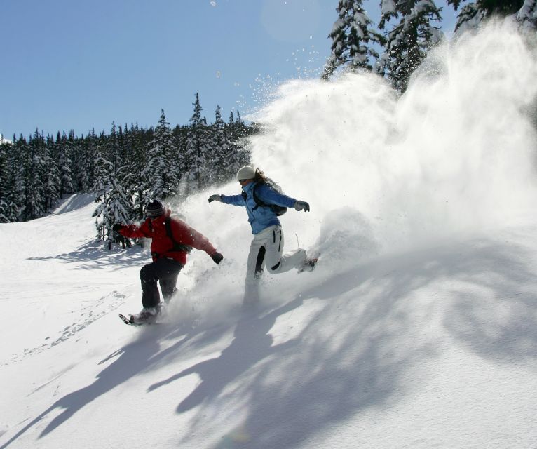 Bend: Half-Day Snowshoe Tour in the Cascade Mountain Range - Final Thoughts