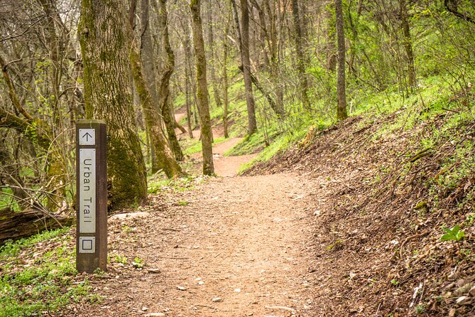 Bentonville Singletrack Mountain Bike Tour - An In-Depth Look at the Experience