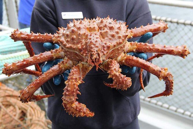 Bering Sea Crab Fisherman's Tour from Ketchikan - The Sum Up