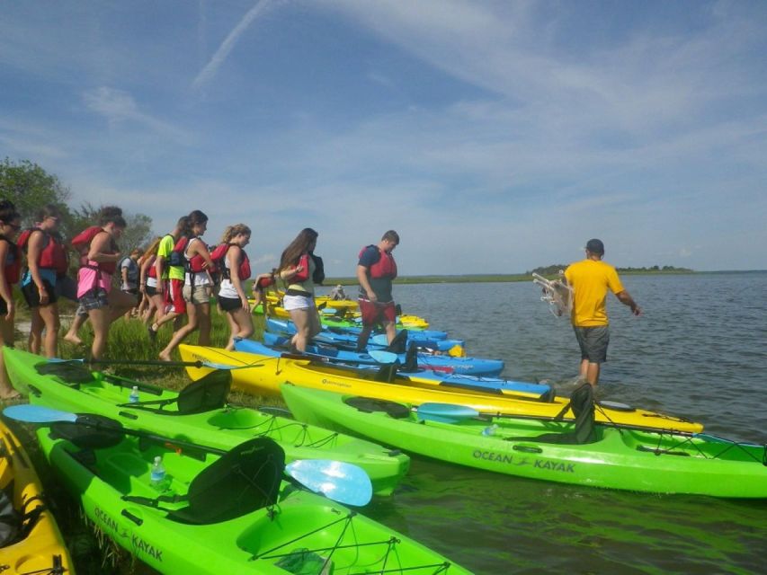 Berlin: Assateague Island Wildlife Discovery Kayak Tour - Why This Tour Is Worth It