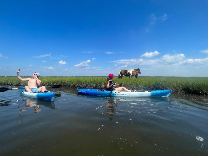Berlin: Assateague Island Wildlife Discovery Kayak Tour - FAQ
