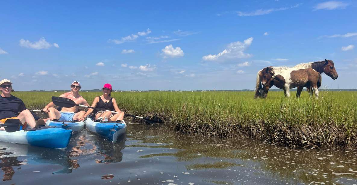 Berlin, MD: Full-, Half, or Quarter-Day Kayak Rental - Key Points