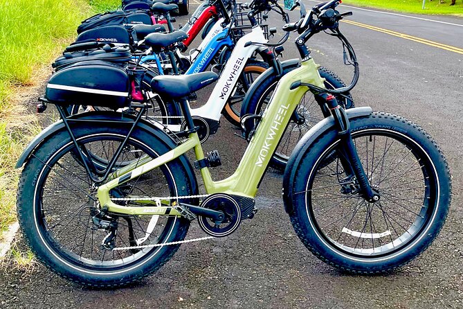 "Bespoke" Private E-Bike Tour Volcano and Waterfalls - The Sum Up: Who Should Consider This Tour?