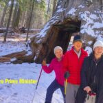Best 1-Day Yosemite National Park Private Tour from San Francisco - Frequently Asked Questions
