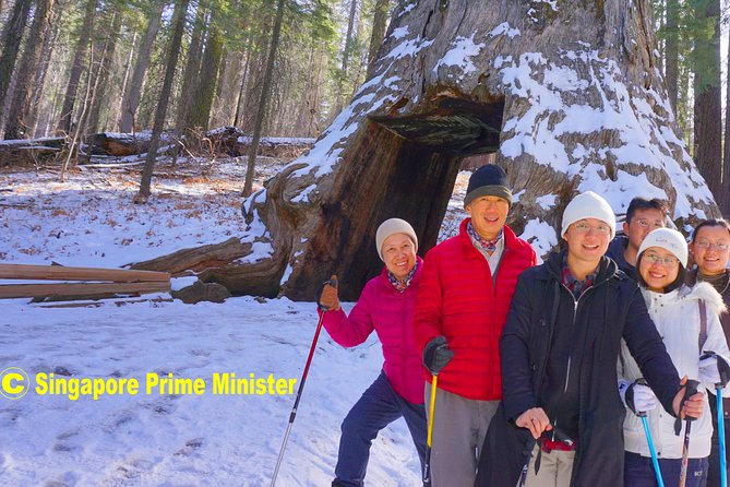 Best 1-Day Yosemite National Park Private Tour from San Francisco - Frequently Asked Questions