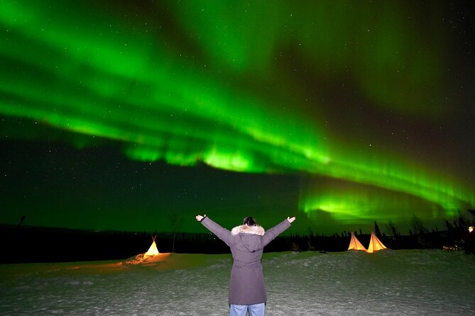 Best Alaskan Cabin Aurora Viewing with Photography @Aurora Camp - Introduction