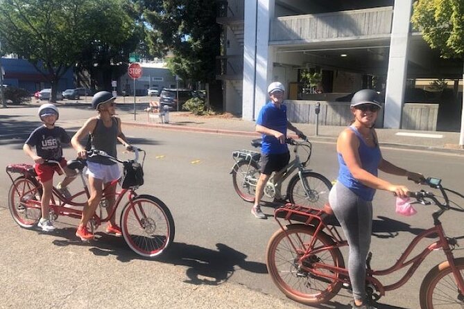 Best E-Bike Rental! Wine country fun - Who Will Love This Tour?