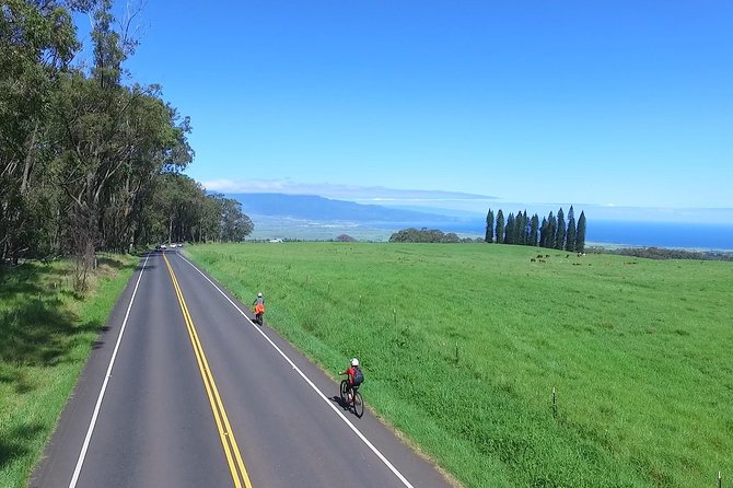 Best Haleakala Downhill Self-Guided Bike Tour with Maui Sunriders - The Experience: What’s Included and Why It Matters