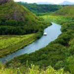 Best Kauai Northeast, Fern Grotto River Cruise & Lighthouse Tour - Who Will Love This Tour?