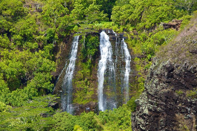 Best Kauai Northeast, Fern Grotto River Cruise & Lighthouse Tour - Frequently Asked Questions