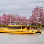 Best of DC: Hop-on Hop-off Bus Tour & Night Tour (Save 40%) - Exploring the Itinerary and What It Means for You