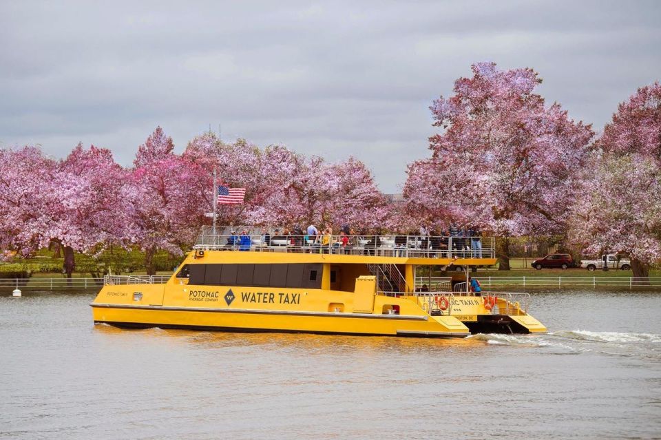 Best of DC: Hop-on Hop-off Bus Tour & Night Tour (Save 40%) - Exploring the Itinerary and What It Means for You
