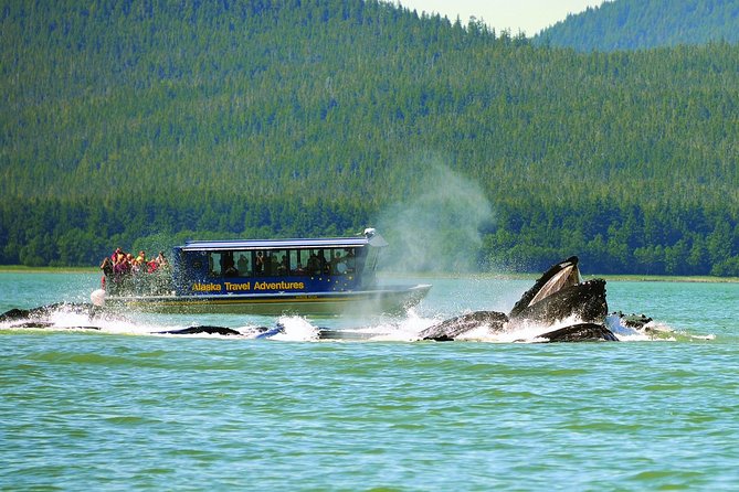 Best of Juneau: Mendenhall Glacier, Whale Watching and Salmon Bake - Practical Details: What You Need to Know