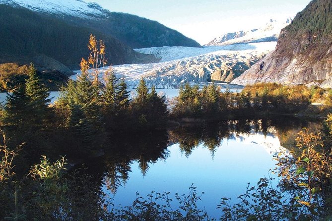 Best of Juneau: Mendenhall Glacier, Whale Watching and Salmon Bake - Real Experiences from Guests