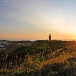 Best of Martha's Vineyard 1-Day Tour from Boston MA - Free Time on the Island: Explore at Your Own Pace