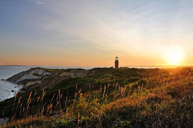 Best of Martha's Vineyard 1-Day Tour from Boston MA - Free Time on the Island: Explore at Your Own Pace