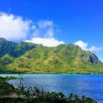 Best of Oahu Full-Day Small-Group Island Tour - Who Should Book This Tour?