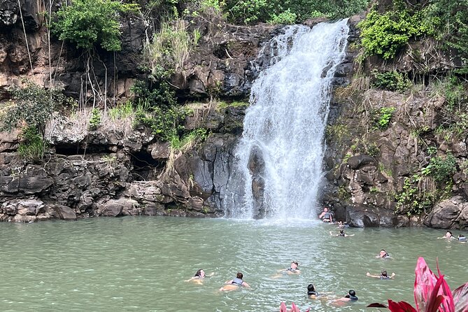 Best of Oahu's North Shore in small group (Se Habla Español) - Is This Tour Worth It?