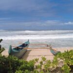 Best of Oahu's North Shore in small group (Se Habla Español) - Who Would Love This Tour?