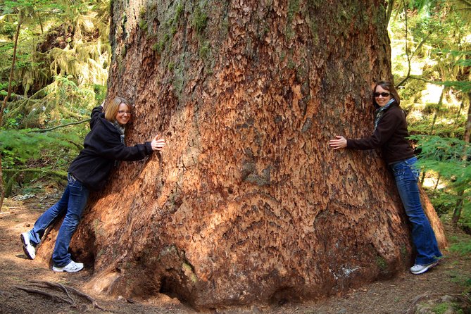 Best of Olympic National Park from Seattle: All-Inclusive Small-Group Day Tour - Key Points