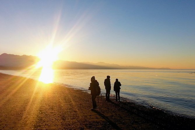 Best of Olympic National Park from Seattle: All-Inclusive Small-Group Day Tour - Why This Tour Is a Smart Choice