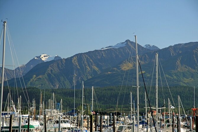 Best of Seward Alaska Full Day Tour - Why This Tour Offers Great Value