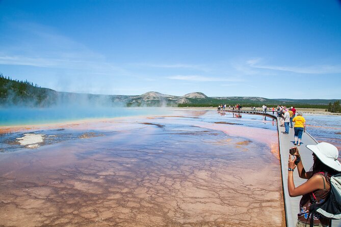 Best of Yellowstone Guided Tour from Bozeman - Private Tour - An In-Depth Look at the Yellowstone Private Tour