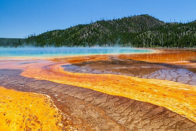 Best of Yellowstone Nat'l Park from W Yellowstone - Private Tour - Key Points