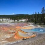 Best of Yellowstone Nat'l Park from W Yellowstone - Private Tour - An In-Depth Look at the Tour Experience